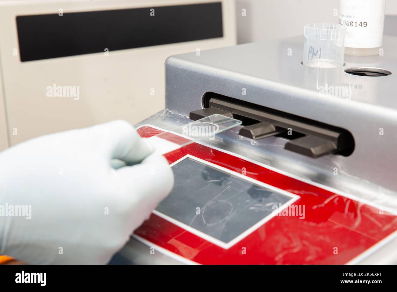Scientist preparing microscope slides with liquid based cytology method ...