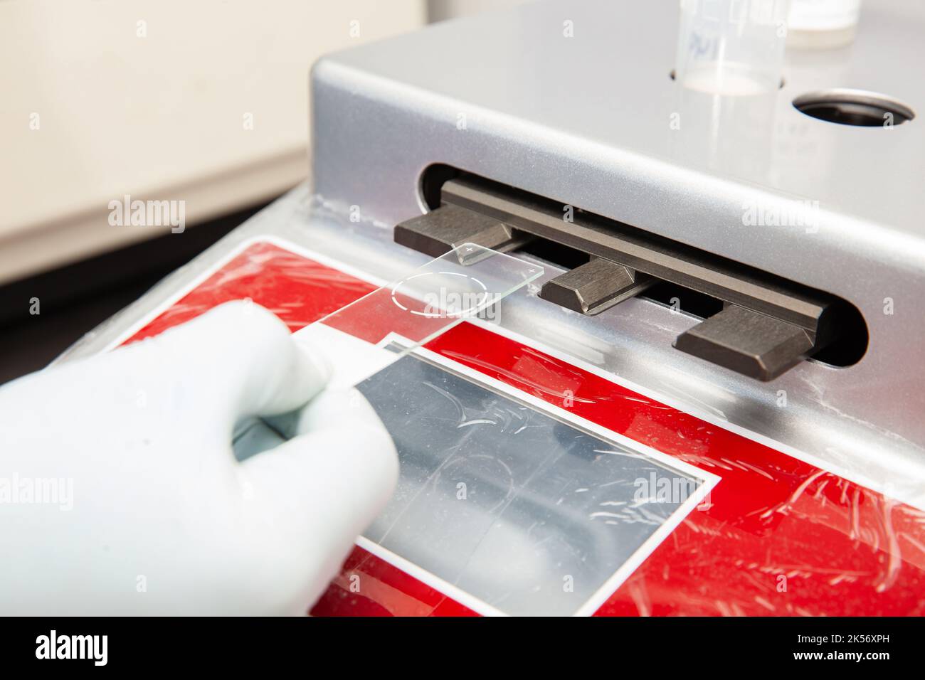 Scientist preparing microscope slides with liquid based cytology method ...