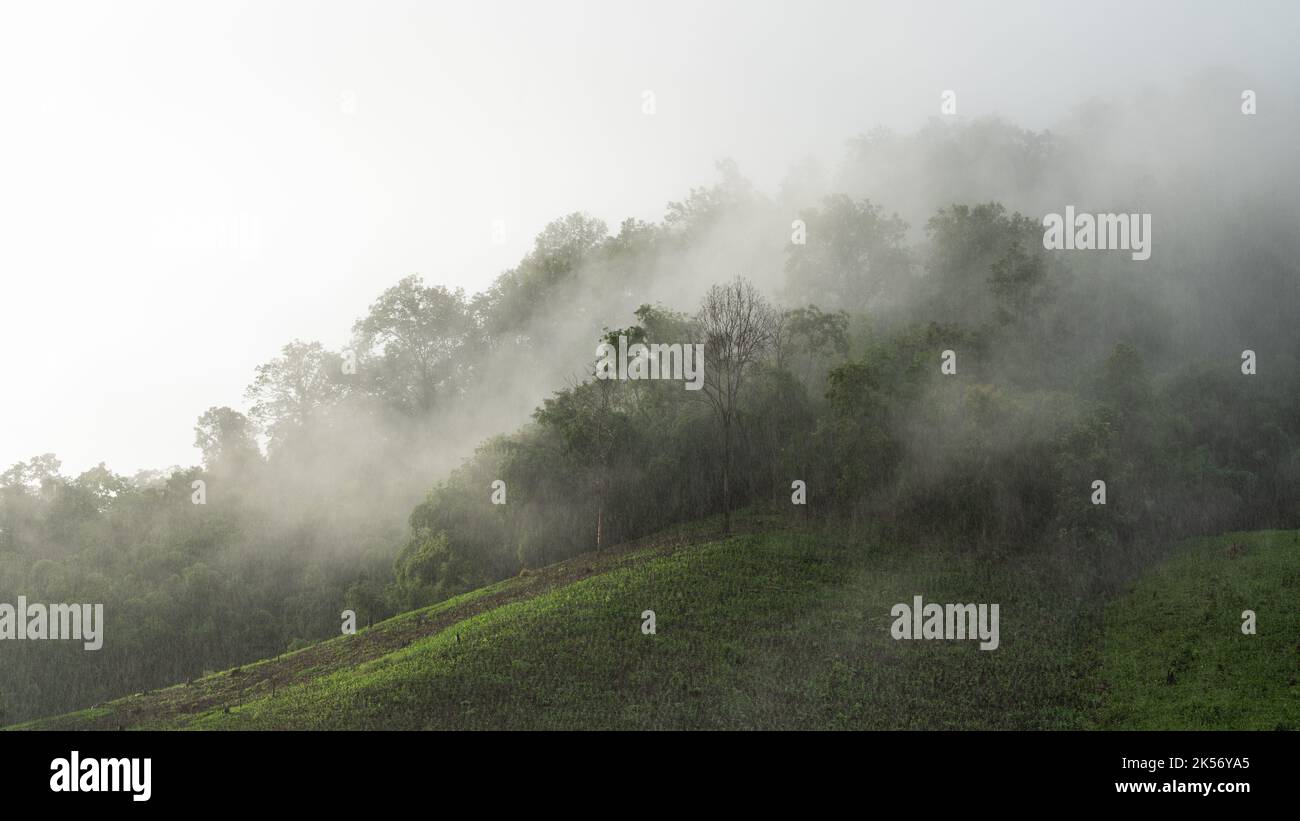 Beautiful tropical mountain landscape with low clouds and rain on ...