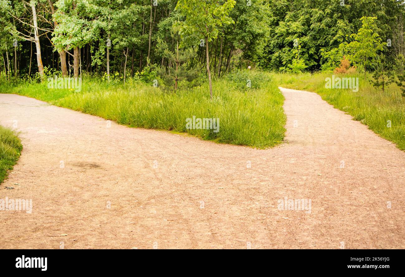 Two paths fork forest hi-res stock photography and images - Alamy