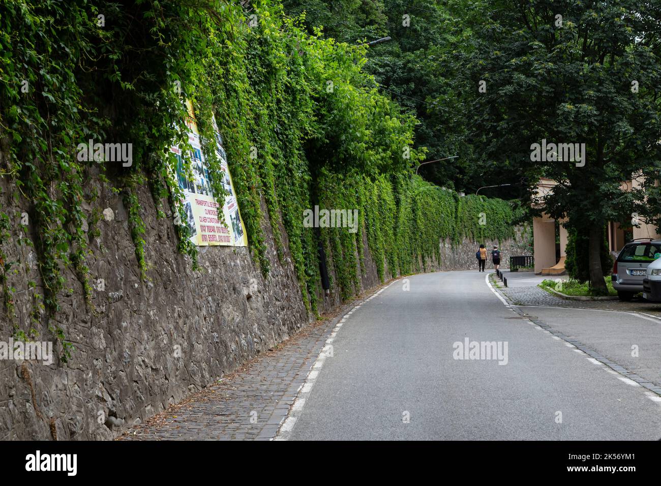 Baile Herculane ( Herculane Bath ), Romania - June 13, 2022: Street in ...