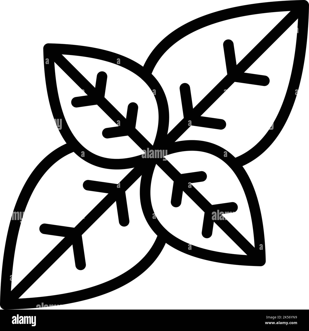 Top view oregano icon outline vector. Herb plant. Food salad Stock ...