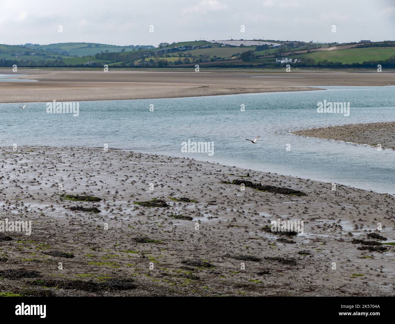 Silt on the seabed. The shallow sea bay. Seaside landscape Stock Photo ...