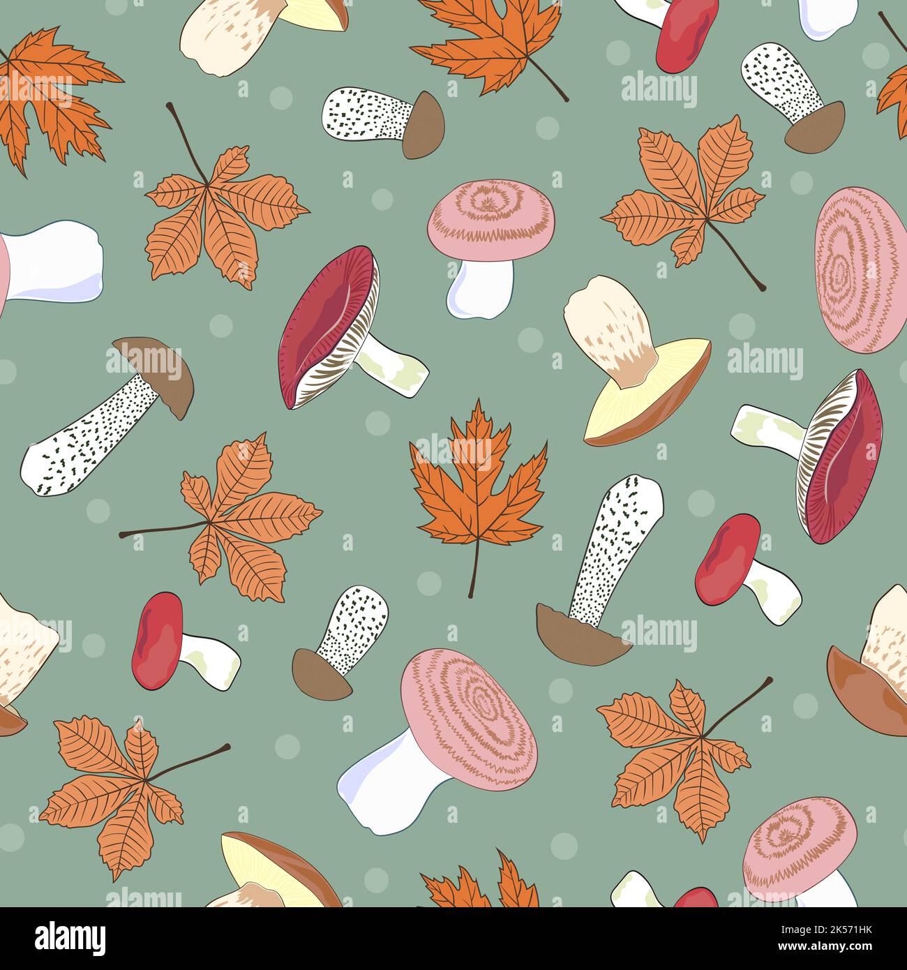 Forest mushroom porcini leaves Stock Vector Images - Alamy