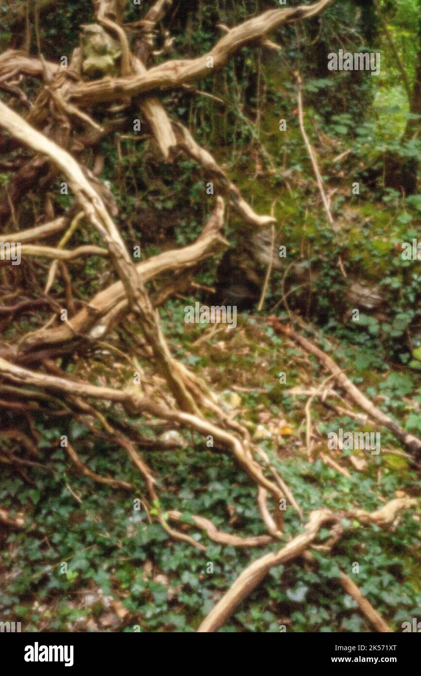 Age-defying, digital age, premium quality, eye-catching, stand-out ...