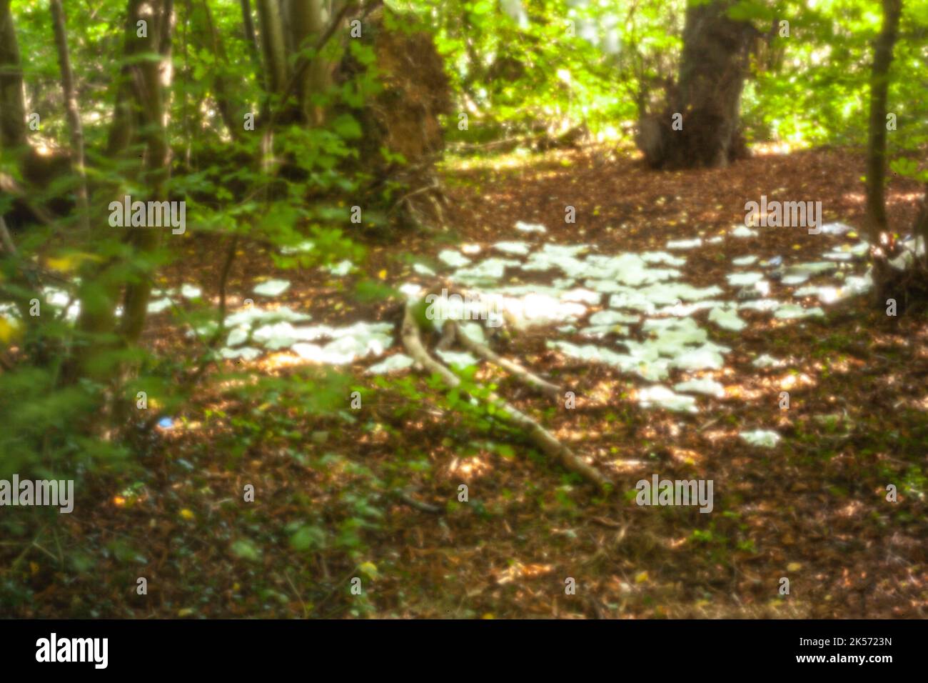 Age-defying, digital age, premium quality, eye-catching, stand-out ...