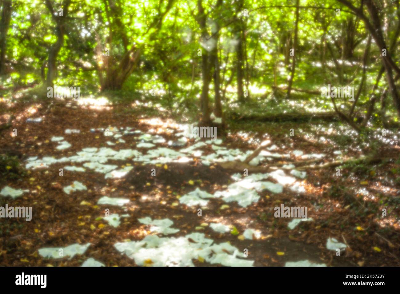 Age-defying, digital age, premium quality, eye-catching, stand-out ...