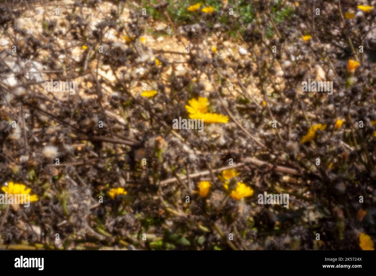 Age-defying, digital age, premium quality, eye-catching, stand-out ...