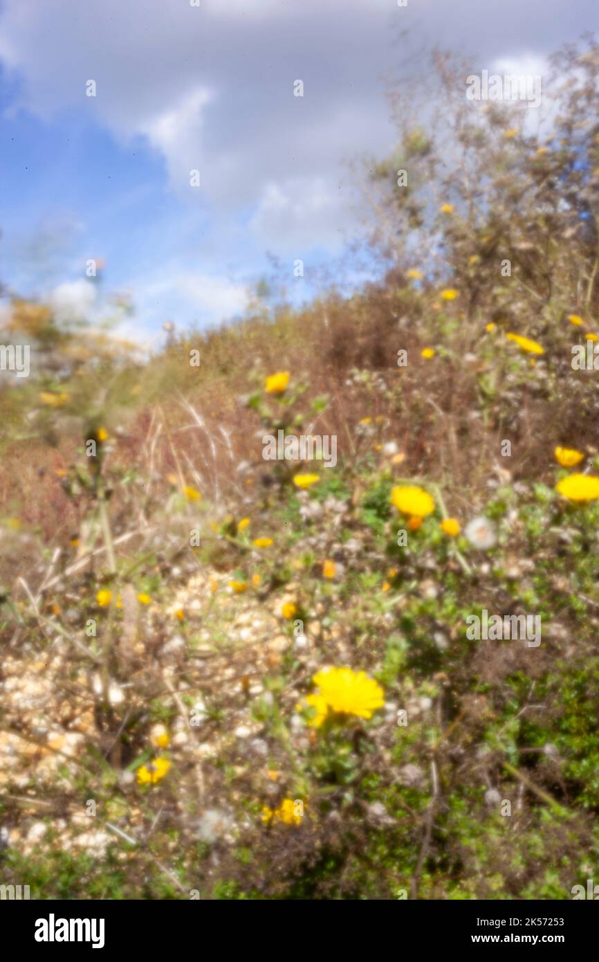 Age-defying, digital age, premium quality, eye-catching, stand-out ...