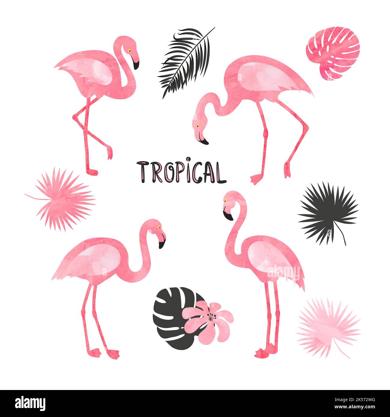 Set of watercolor flamingos isolated on white. Vector tropical ...