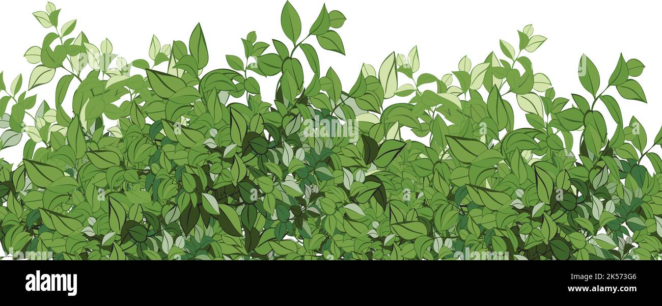 Realistic garden shrub, seasonal bush, boxwood, tree crown bush foliage ...