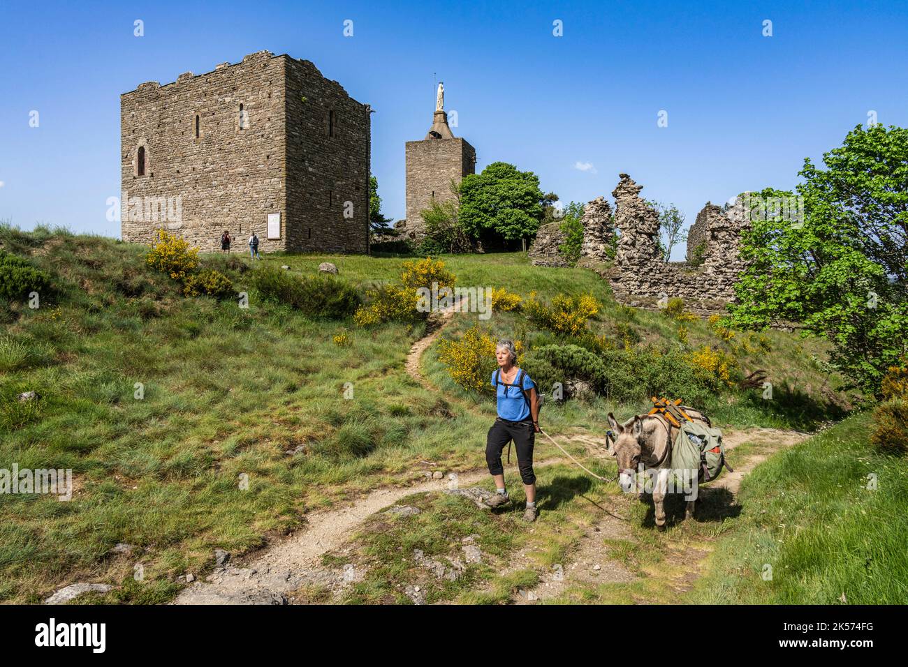 France, Lozere, Luc, hiking with a donkey on the Robert Louis Stevenson ...