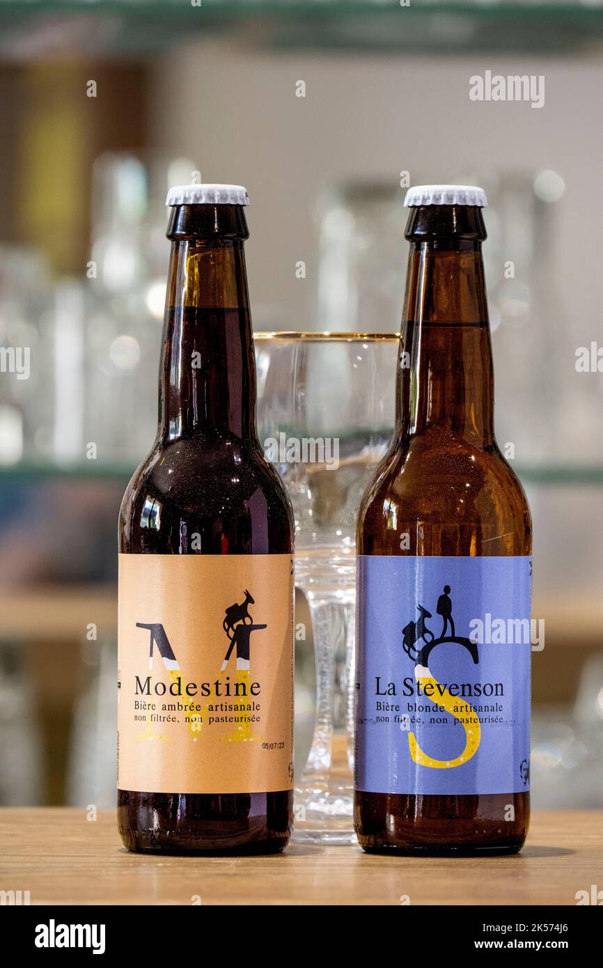 France, Lozere, La Bastide-Puylaurent, hiking with a donkey on the ...