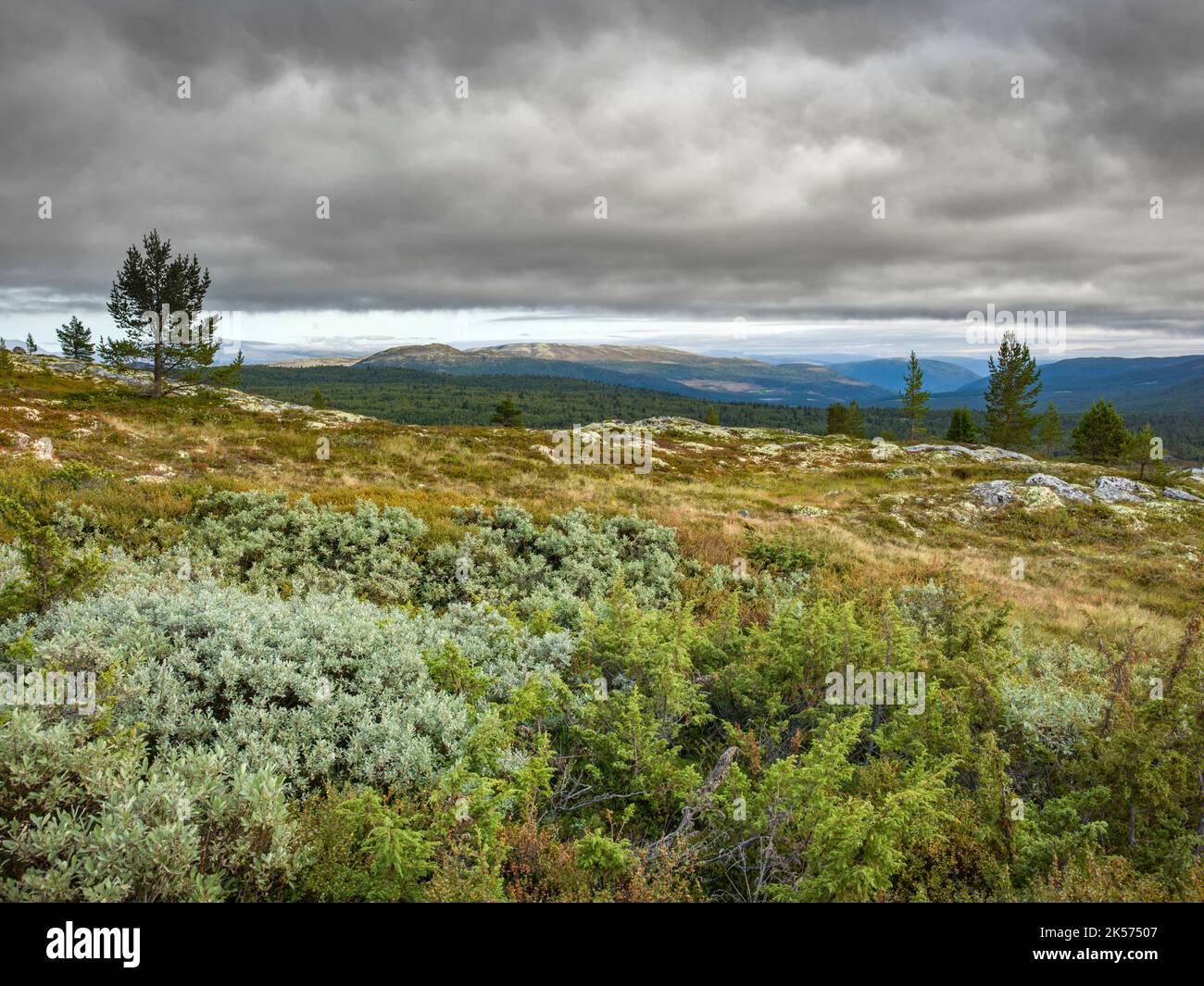 Otta norway hi-res stock photography and images - Alamy