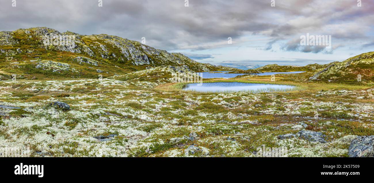 Norway, Inlandet, Otta, Rondan National Park Stock Photo - Alamy