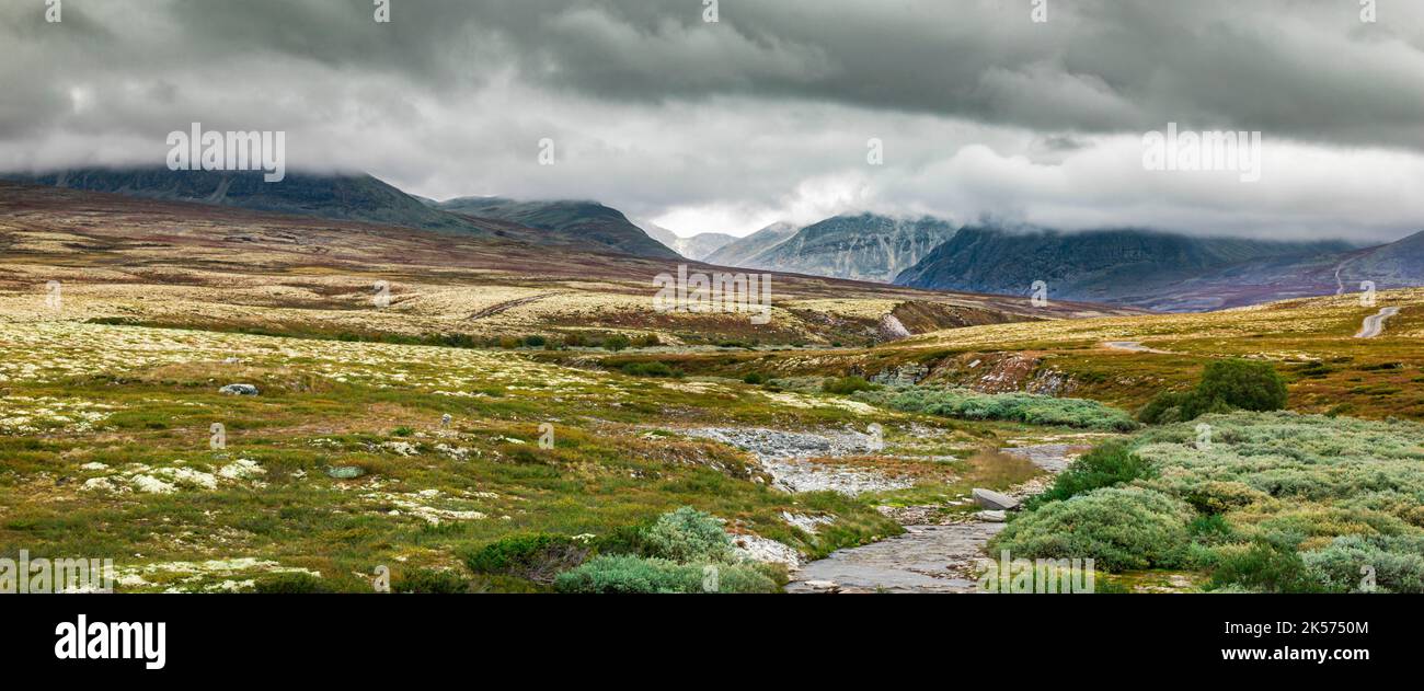 Norway, Inlandet, Otta, Rondan National Park Stock Photo - Alamy