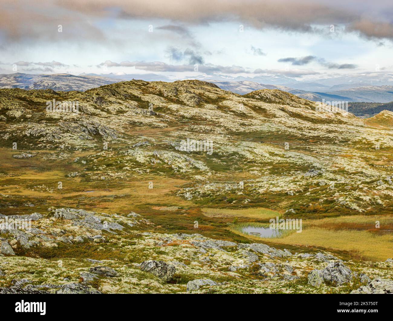 Norway, Inlandet, Otta, Rondan National Park Stock Photo - Alamy