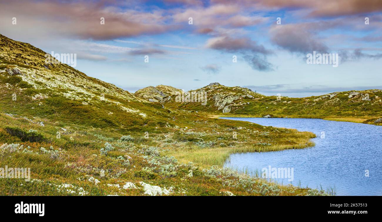 Norway, Inlandet, Otta, Rondan National Park Stock Photo - Alamy