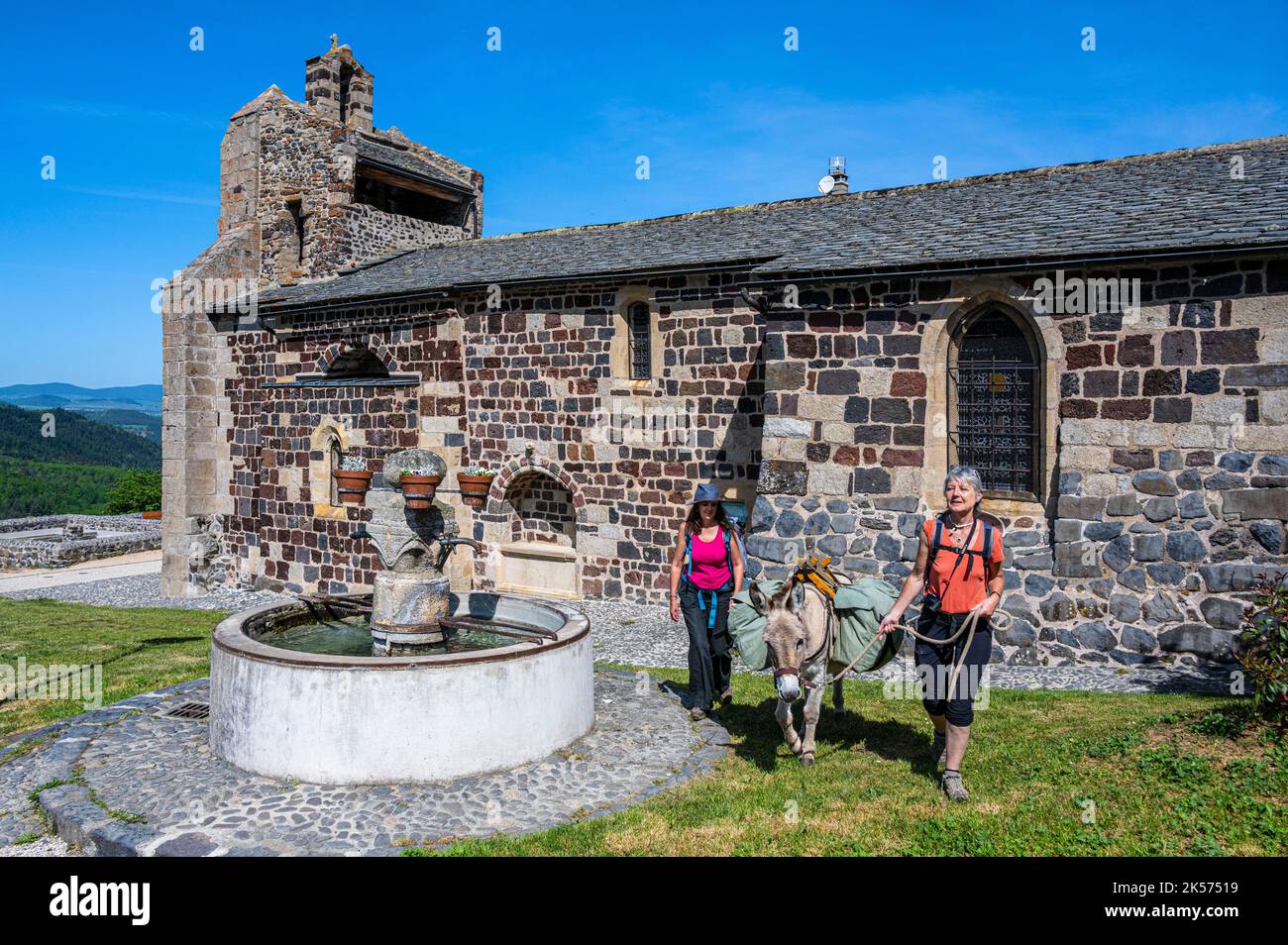 France, Haute Loire, Le Monastier-sur-Gazeille, hiking with a donkey on ...