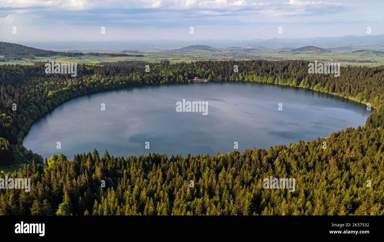 France, Haute Loire, Bouchet-Saint-Nicolas, hiking with a donkey on the ...