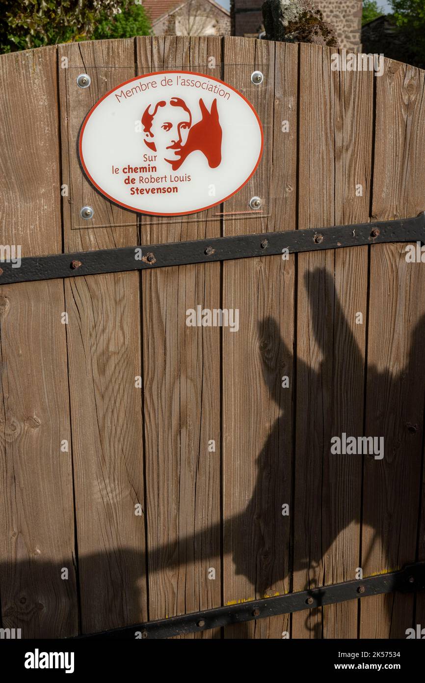 France, Haute Loire, Bouchet-Saint-Nicolas, hiking with a donkey on the ...