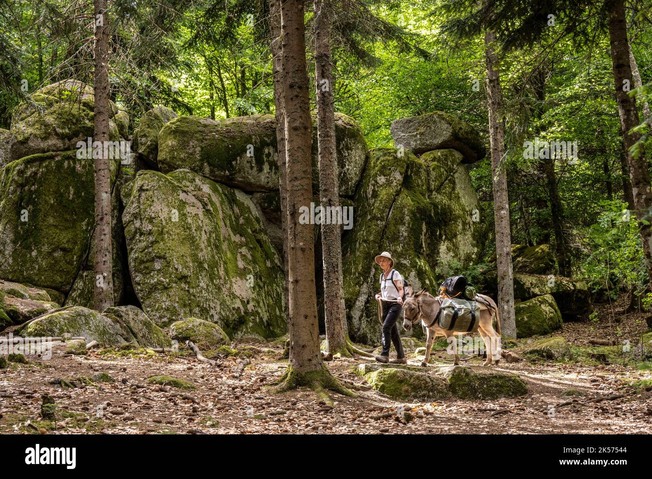Saint flour de mercoire hi-res stock photography and images - Alamy