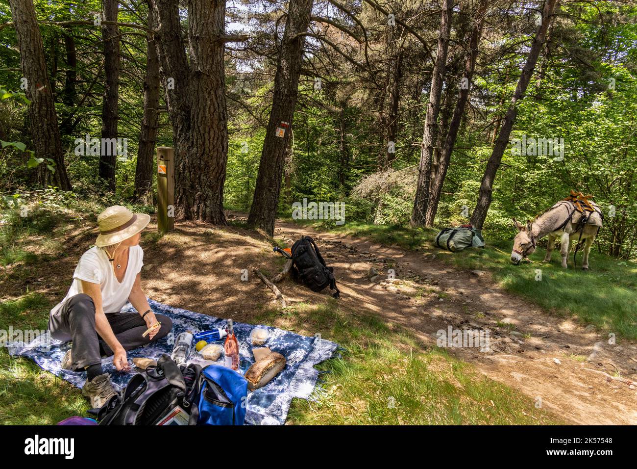 France, Lozere, Langogne, picnic between Langogne and Saint-Flour-de ...
