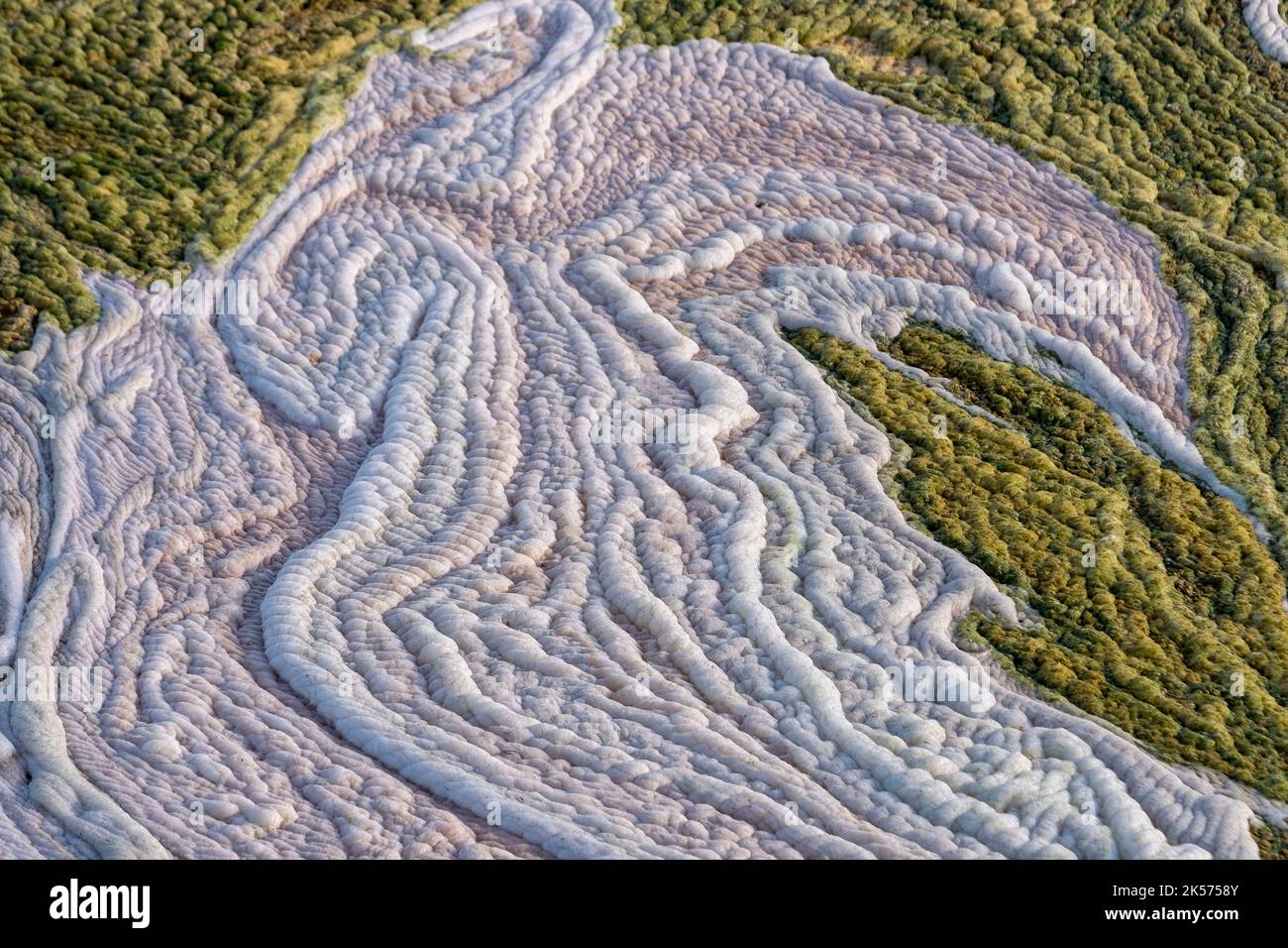 Kenya, lake Magadi, soda stretches Stock Photo - Alamy