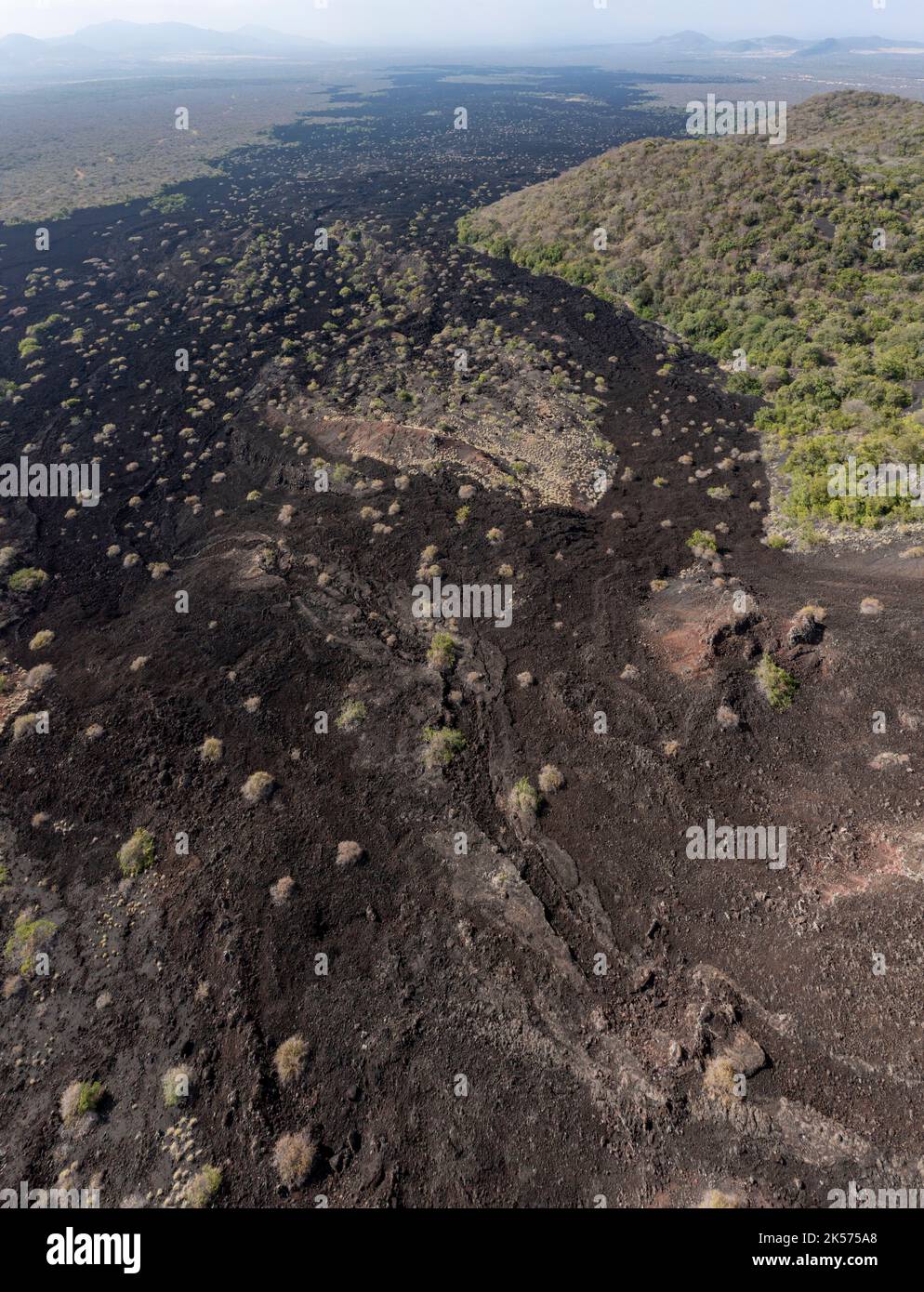 Kenya, Tsavo East national park, lava field of an old volcanic eruption ...