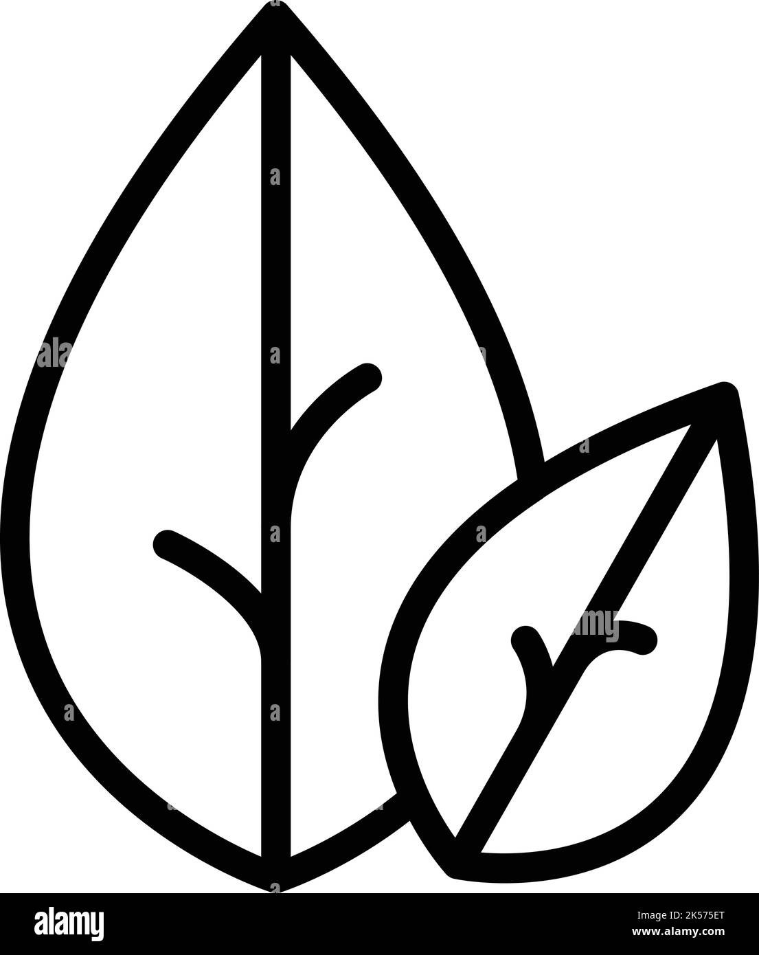 Botanical oregano icon outline vector. Leaf herb. Garden food Stock ...