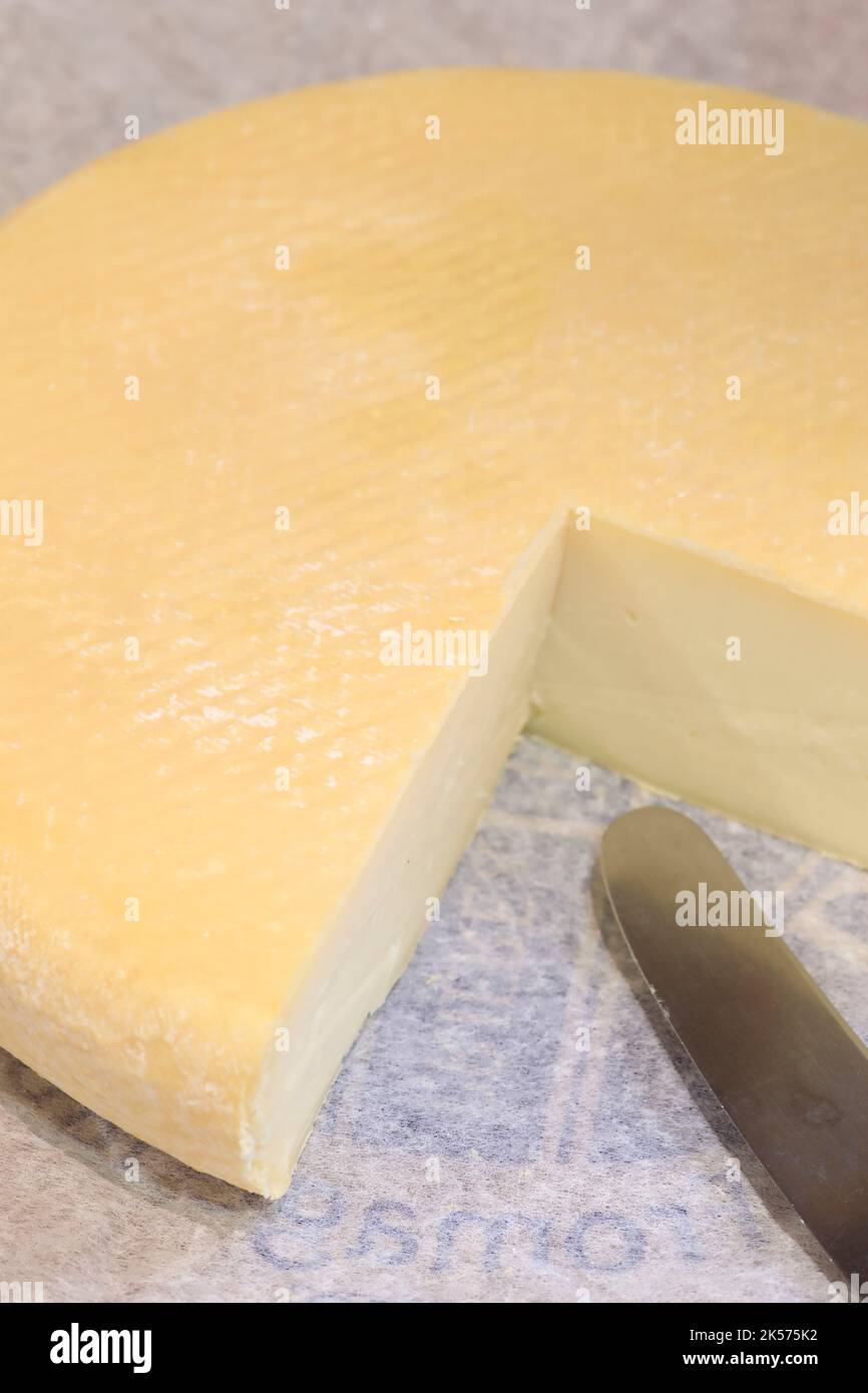 France, Cote d'Or, Saint Nicolas les Citeaux, Notre Dame de Citeaux ...