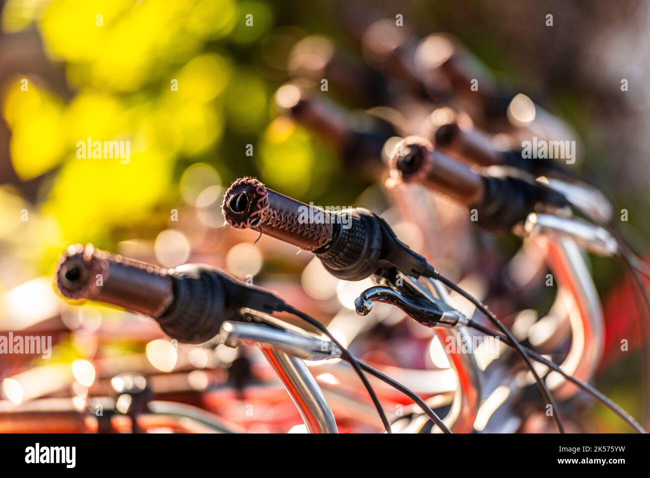 France, Somme, Baie de Somme, Saint-Valery-sur-Somme, Biclounes du Mini-Golf bike rental on the ...