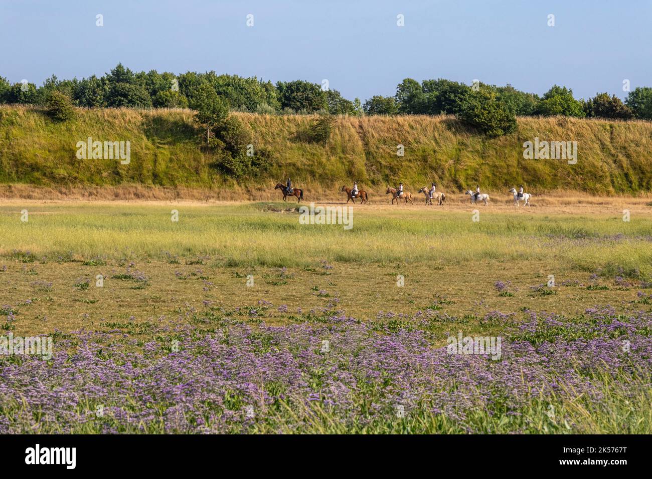 Le talus hi-res stock photography and images - Alamy