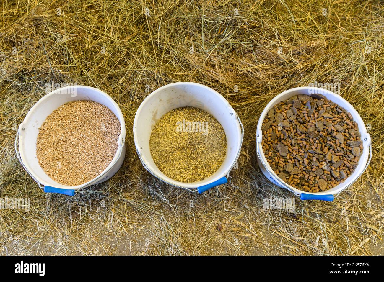 Fava bean flour hi-res stock photography and images - Alamy