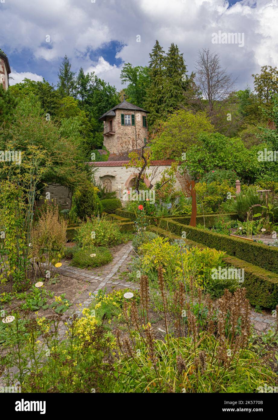 Herb garden view of St. Mary‘s Church in the historic centre of ...