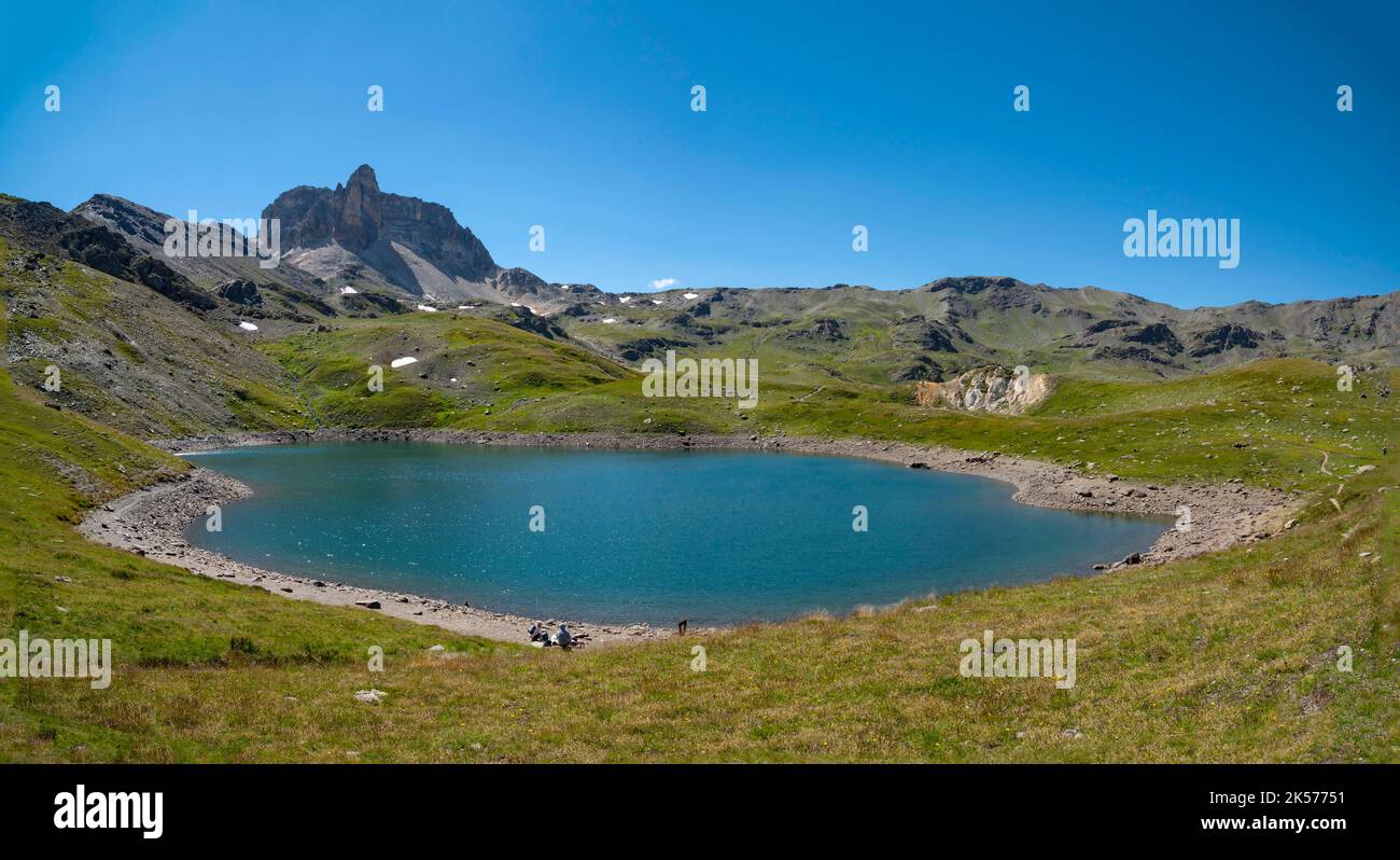 Marguerite de cheval hi-res stock photography and images - Alamy