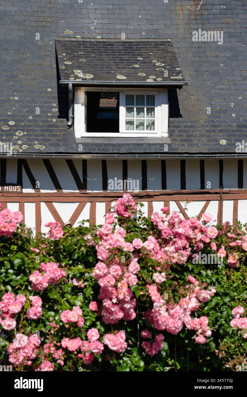 France, Seine Maritime, Veules les Roses, The Most Beautiful Villages ...