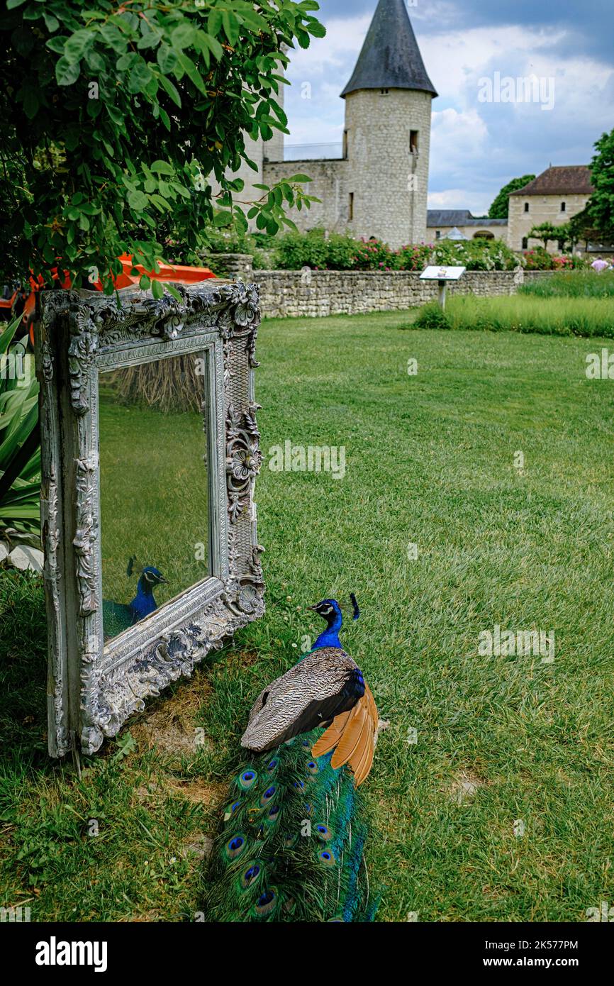 France, Indre et Loire, Lemere, castle of Rivau 15 th century Stock ...
