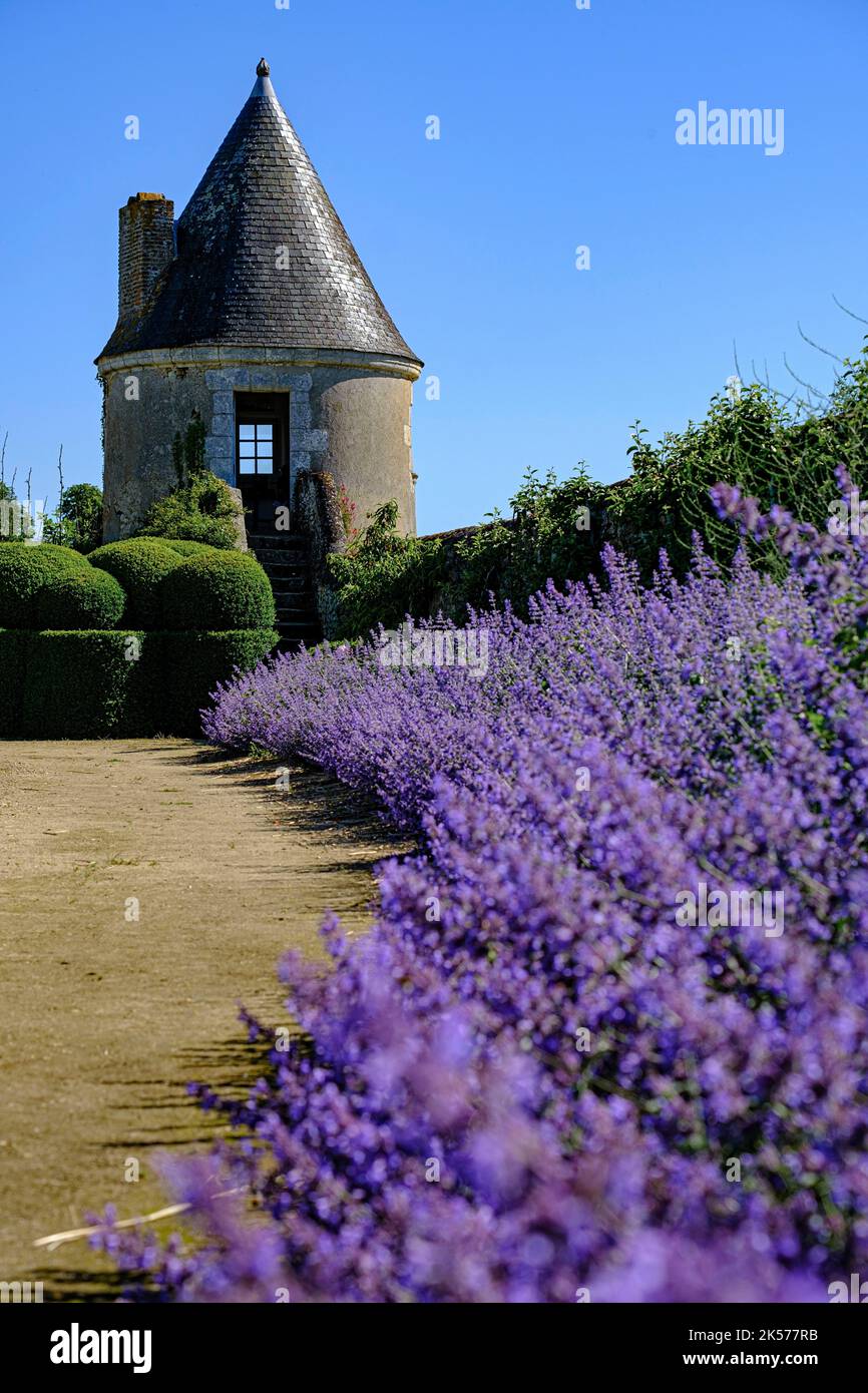 France, Loire Valley, Indre et Loire, Chançay, Castle and Gardens of ...