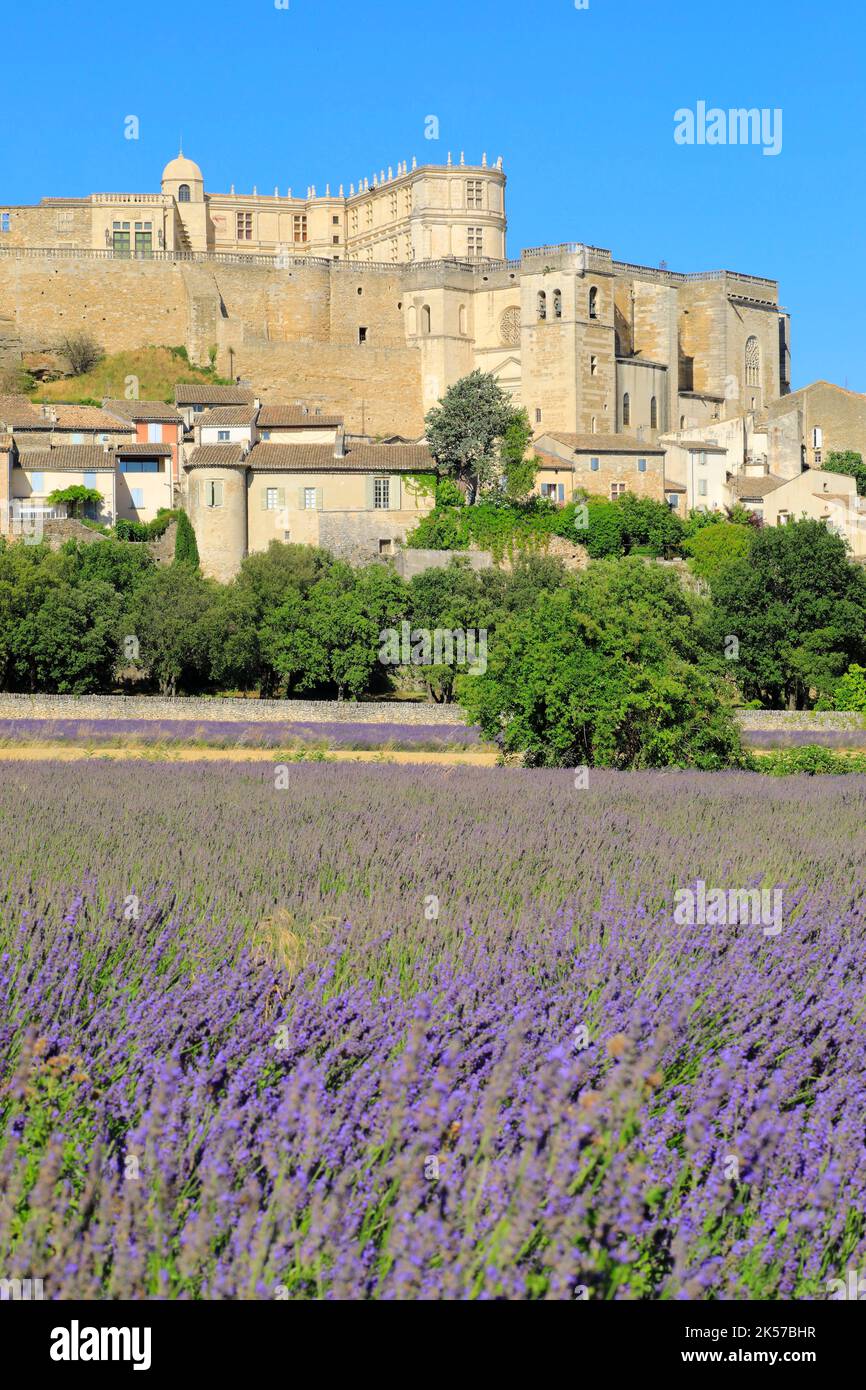 France, Drome, Drome Provencal, Tricastin plain, Grignan, view from a ...