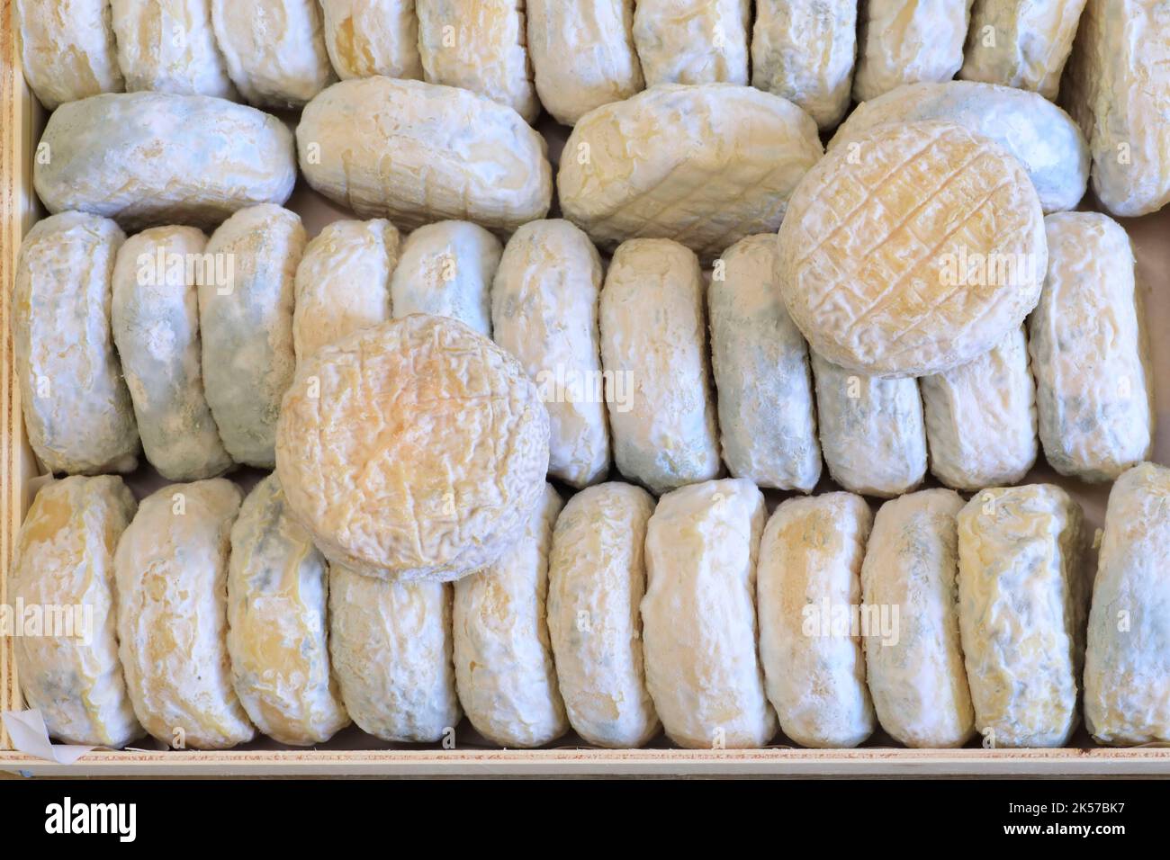 France, Drome, Drome Provencal, Vesc, Pracoutel farm, farmer and ...