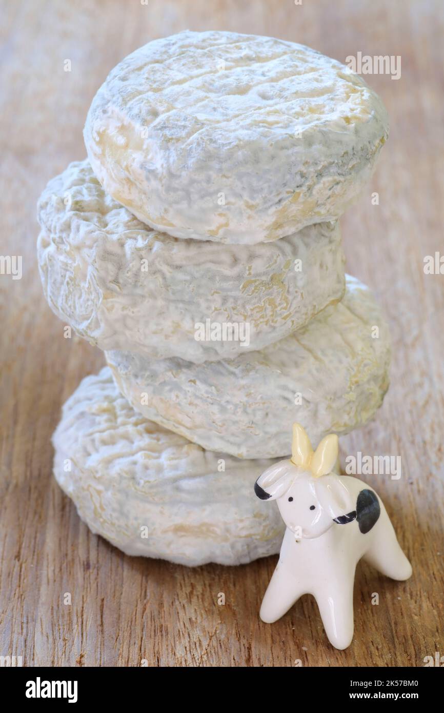 France, Drome, Drome Provencal, Vesc, Pracoutel farm, farmer and ...