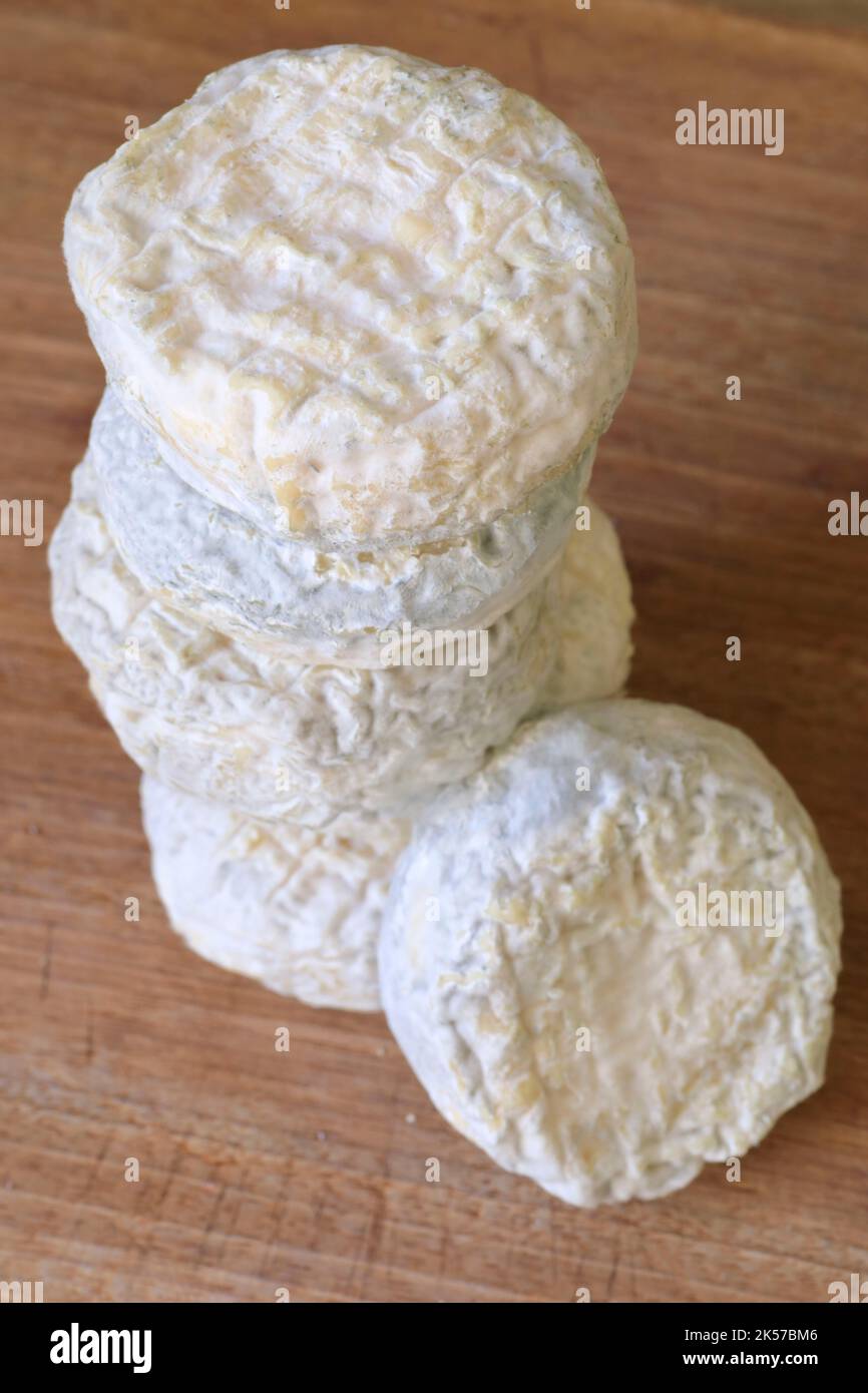 France, Drome, Drome Provencal, Vesc, Pracoutel farm, farmer and ...