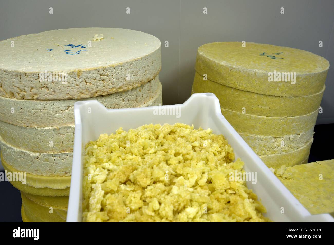 France, Doubs, Vieux Charmont, Lehmann cheese factory, production of ...