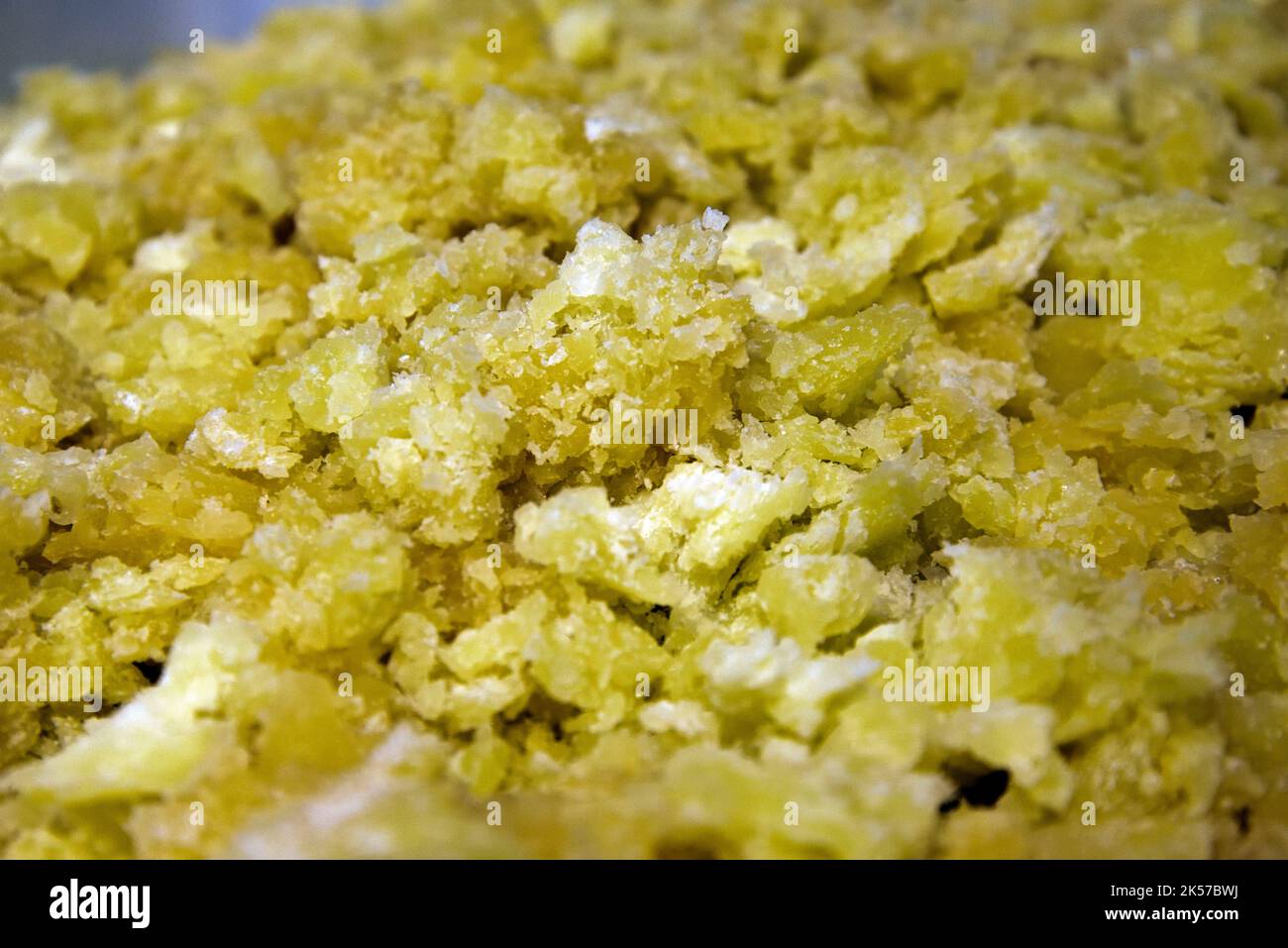 France, Doubs, Vieux Charmont, Lehmann cheese factory, production of ...