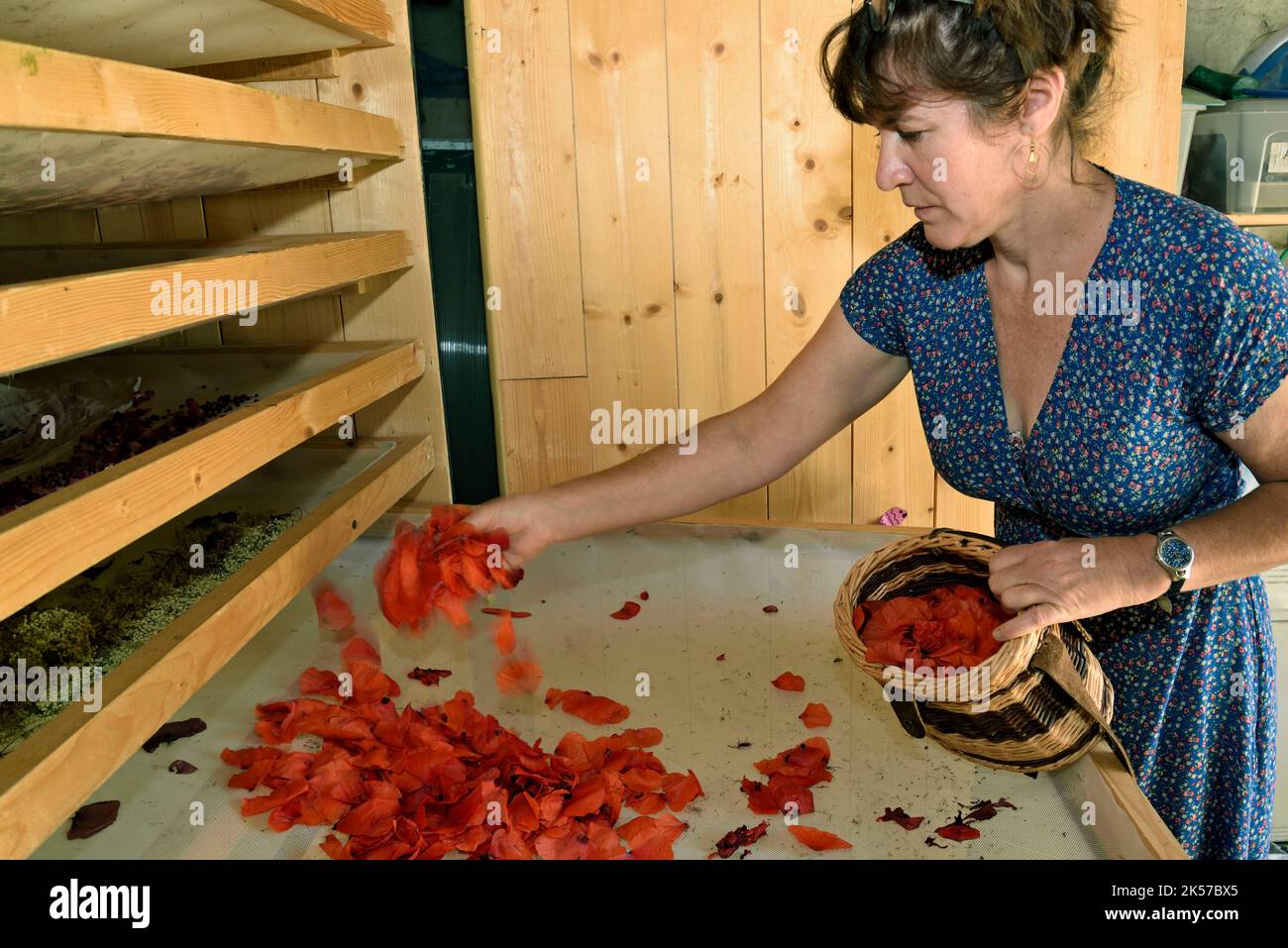 France, Doubs, Crouzet Migette, Sylvie Euvrard, producer of aromatic ...