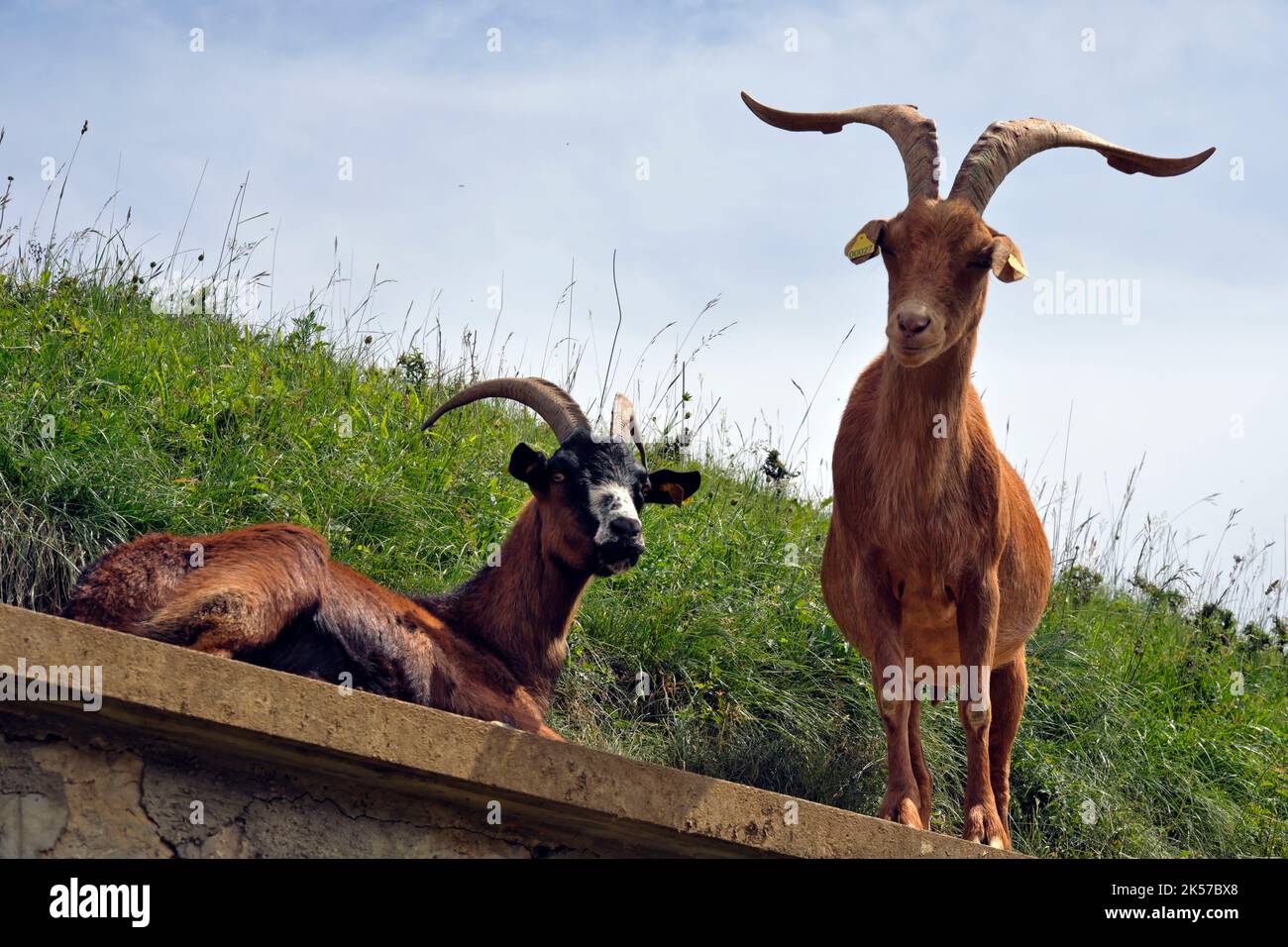France, Territoire de Belfort, Vezelois Fort, fort Ordener built ...