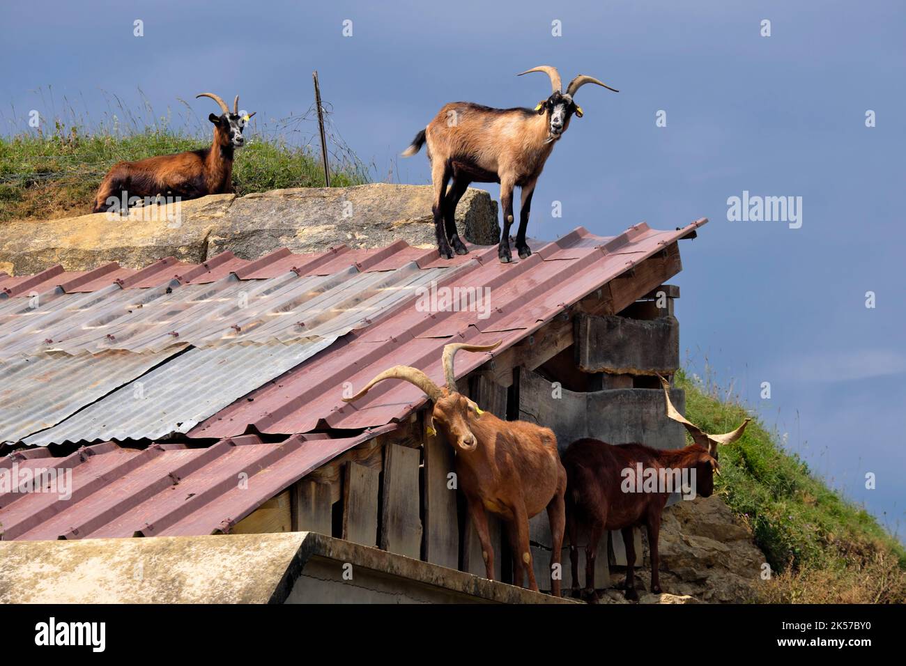 France, Territoire de Belfort, Vezelois Fort, fort Ordener built ...