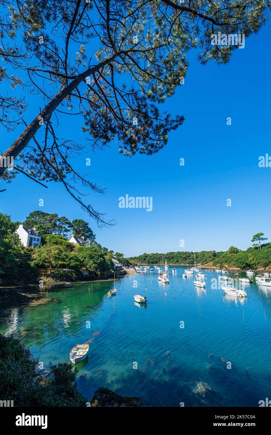 France, Finistere, Moelan-sur-Mer, port of Merrien on the coastal ...