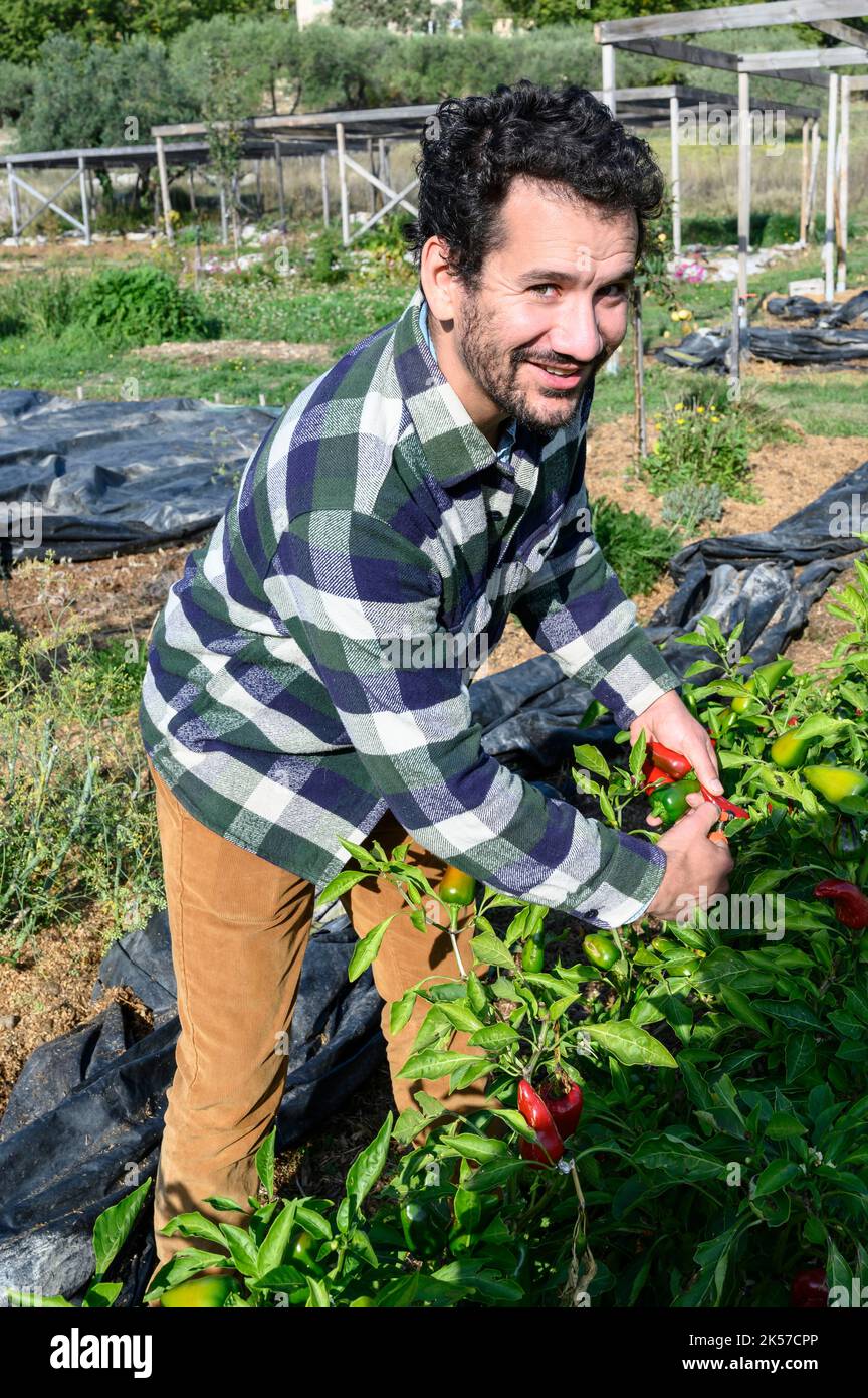 France, Var, Seillans village, Vivre, La Femre Orgasmique, Hugo Bonner ...